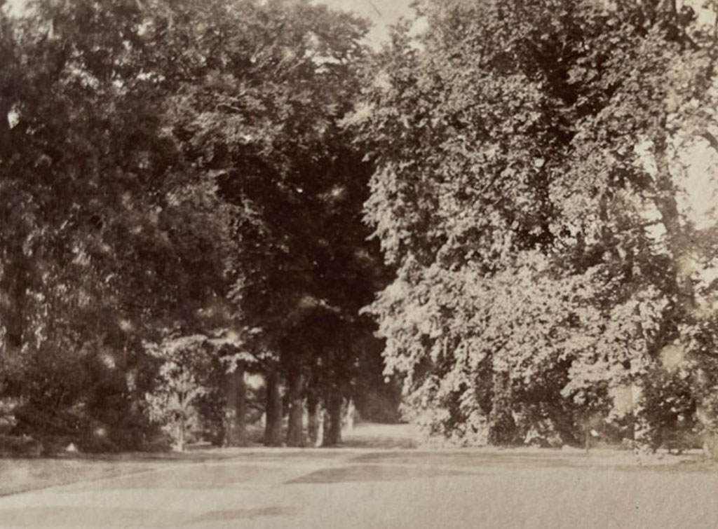 Estate - Milne Graden Fishing